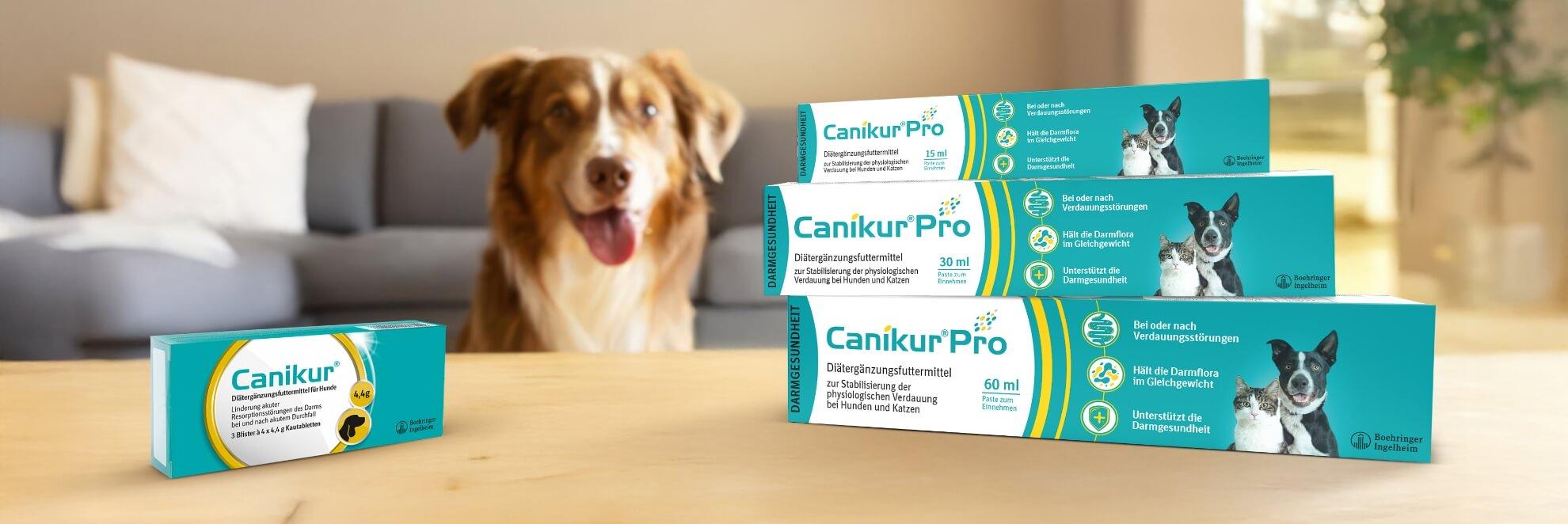 Unsere CANIKUR® Produkte für einen gesunden Darm